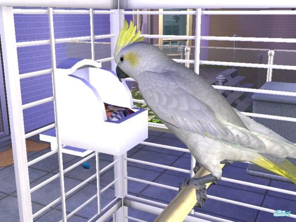 The Sims Resource | Screenshot - My Parrot