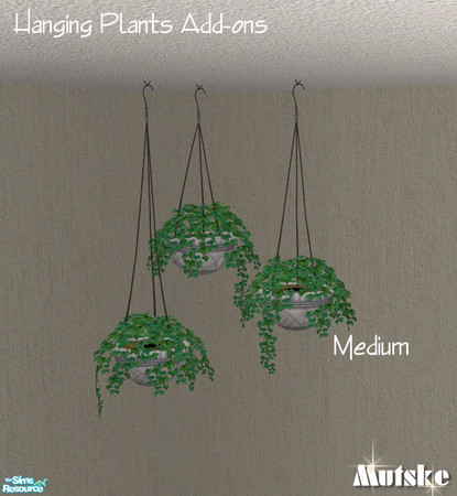 The Sims Resource | Maxis Plants Add-ons III - Hanging Ivy II