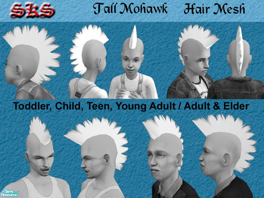 The Sims Resource - Mesh_SKS_TallShaved_Hawk
