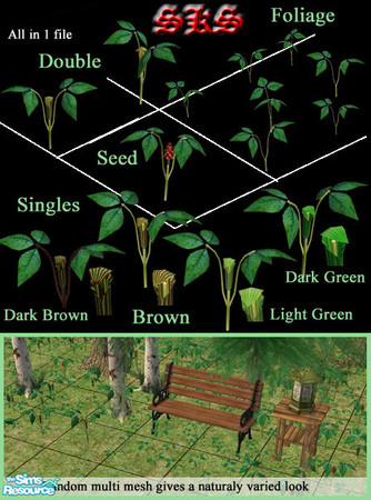 The Sims Resource - Wild Woodland Plants: Jack in the Pulpit