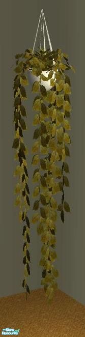 The Sims Resource | Lucca Hanging Plant Recolor......Brown