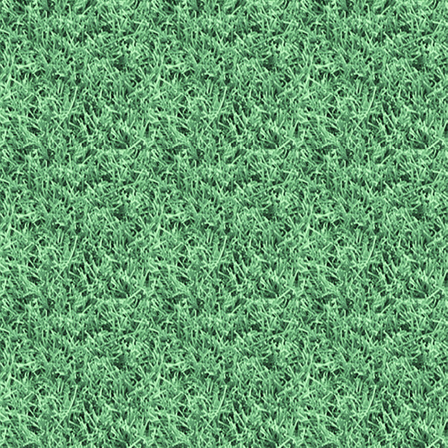 The Sims Resource - Summer Grass v1