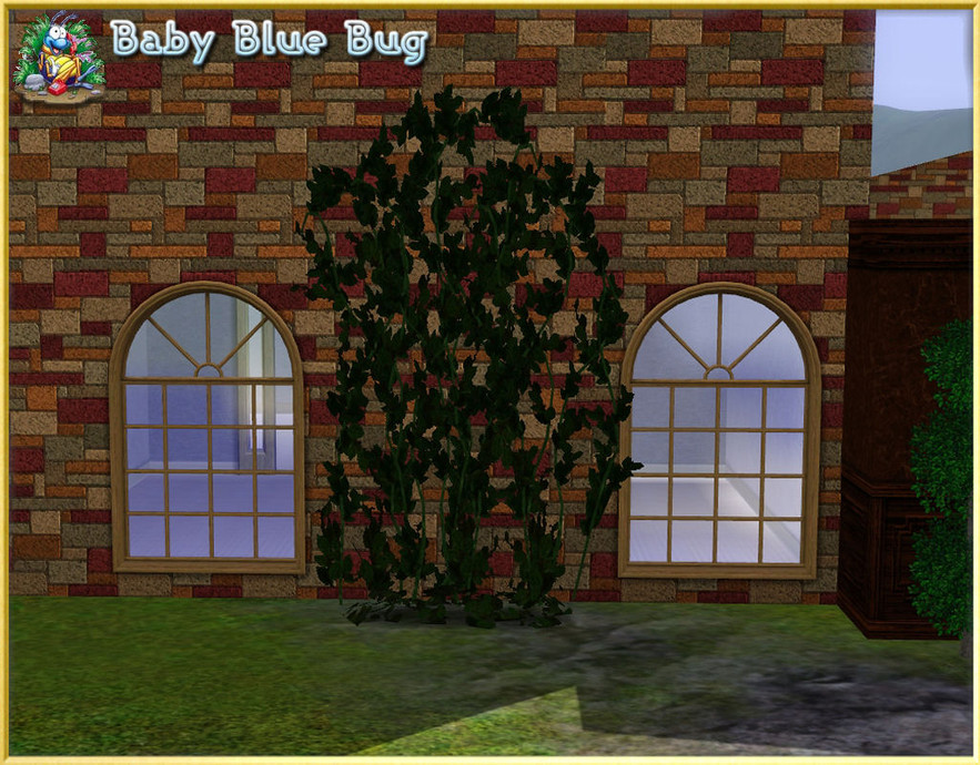 The Sims Resource | bbb Wall Ivy Mid Size