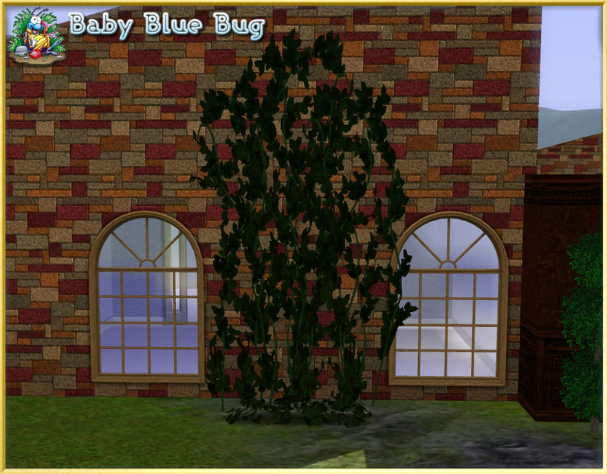 The Sims Resource | bbb Wall Ivy Over 1 Story