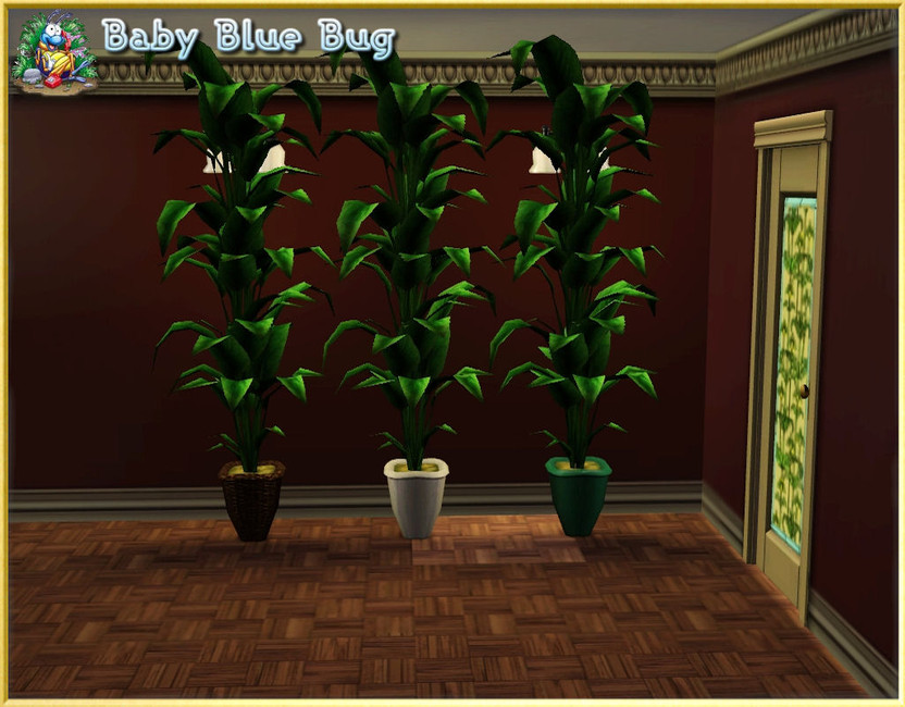 The Sims Resource - bbb Philodendron Plant
