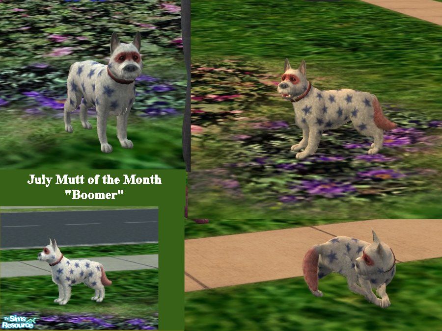 The Sims Resource - Mutt of the Month: July