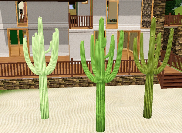 The Sims Resource | A Prickly Cactus Found Under Trees