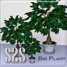 The Sims Resource | S2S Potted Plant (Big)