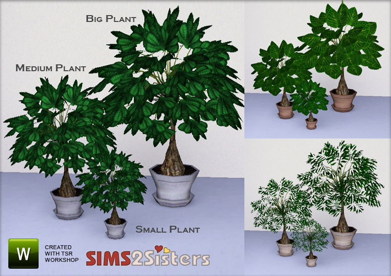The Sims Resource | S2S Potted Plant (Small)