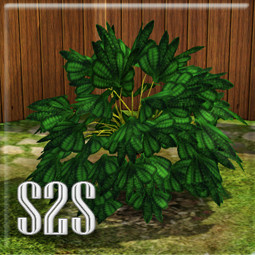 The Sims Resource | S2S Bush