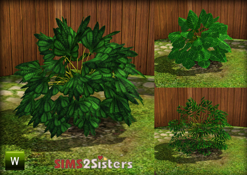 The Sims Resource | S2S Bush