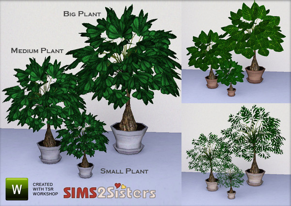 The Sims Resource | S2S Potted Plant (Big)