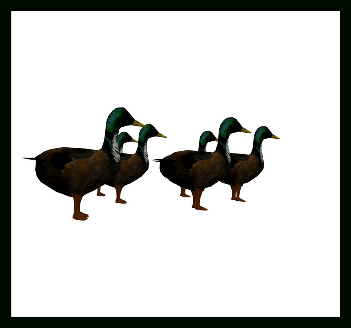 The Sims Resource - Ducklings Water