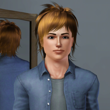 The Sims Resource - Drake Forest