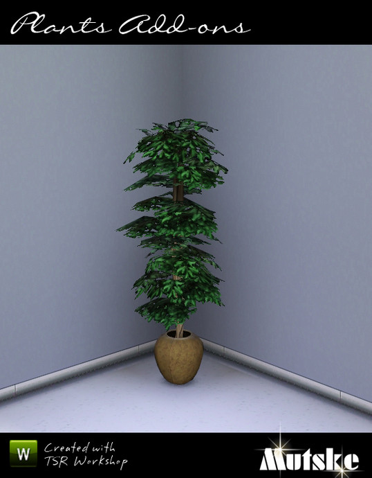 The Sims Resource | Medium Ficus