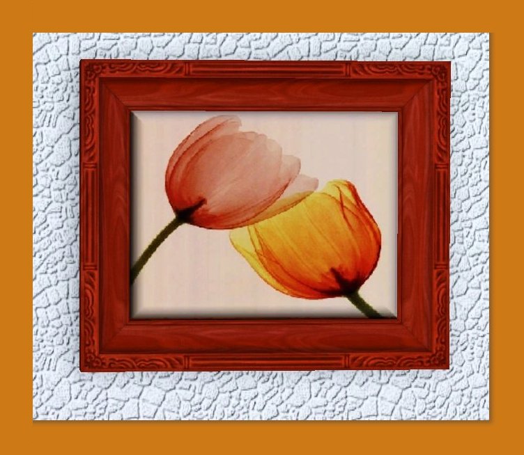 The Sims Resource - X-ray picture 4 Lightness 2