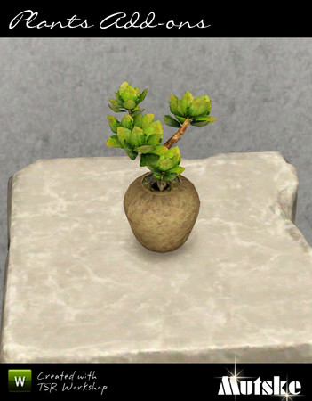 The Sims Resource | Cactus plant