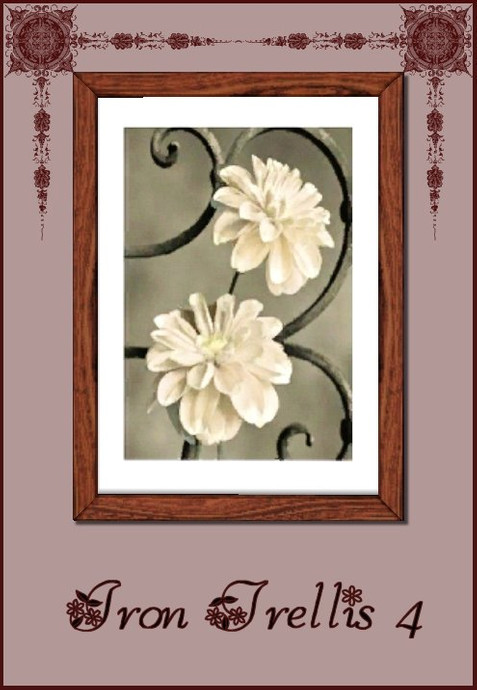 The Sims Resource - Iron Trellis 4