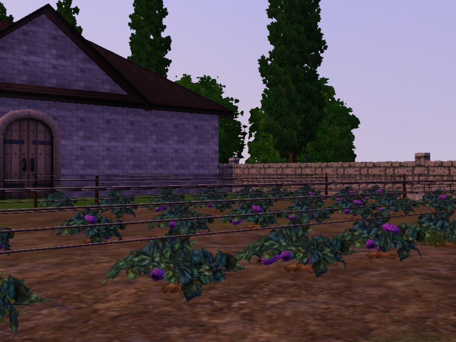 The Sims Resource | Plantation Vineyard