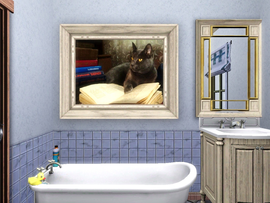 The Sims Resource | Para_Cats 8
