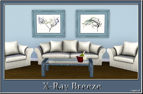 The Sims Resource | X-Ray Breeze