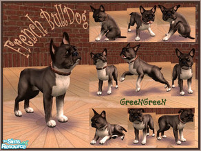 The Sims Resource - Pets