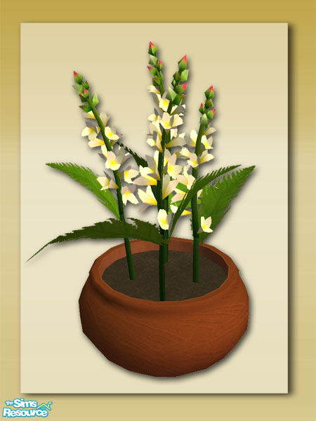 The Sims Resource - Summer Days Extras: Snapdragon 01