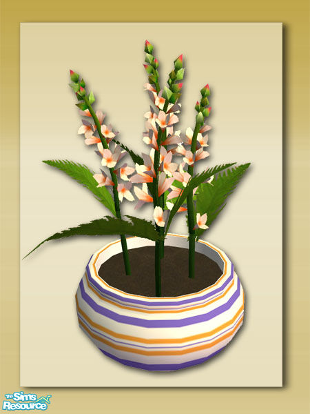 The Sims Resource | Summer Days Extras:Snapdragon 02