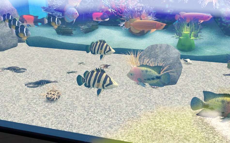 The Sims Resource - Our Aquarium