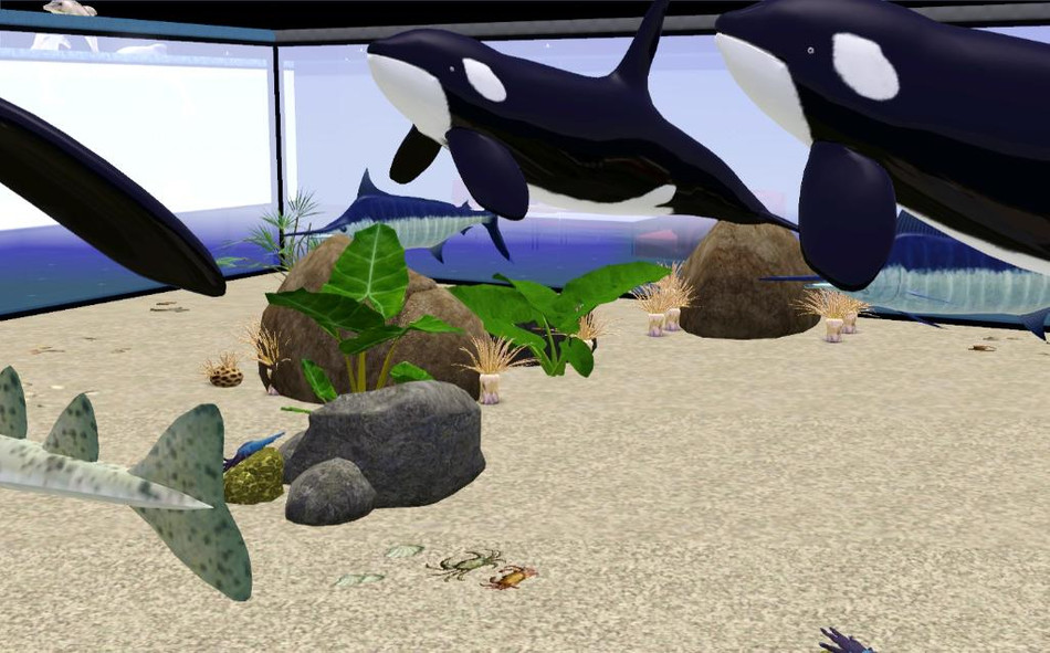The Sims Resource - Our Aquarium
