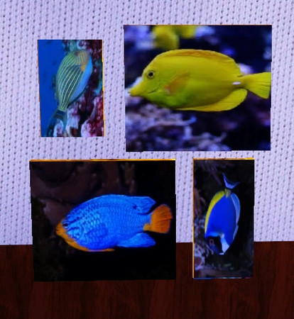 The Sims Resource | fish