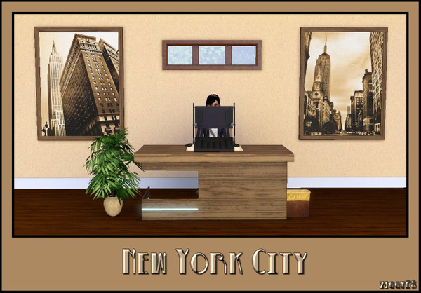 The Sims Resource | New York City