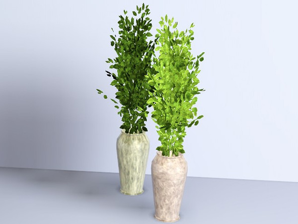 The Sims Resource | Cooper Ficus