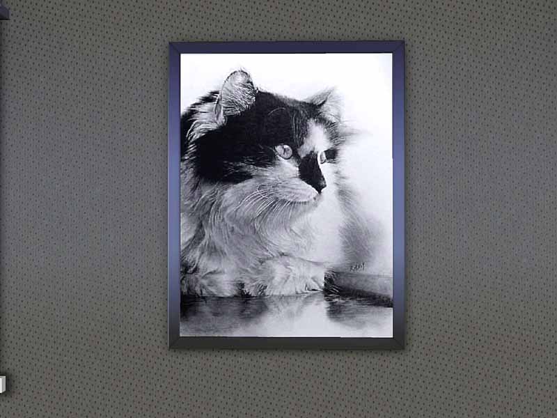 The Sims Resource | Tiger - Pencil Drawing of Cat