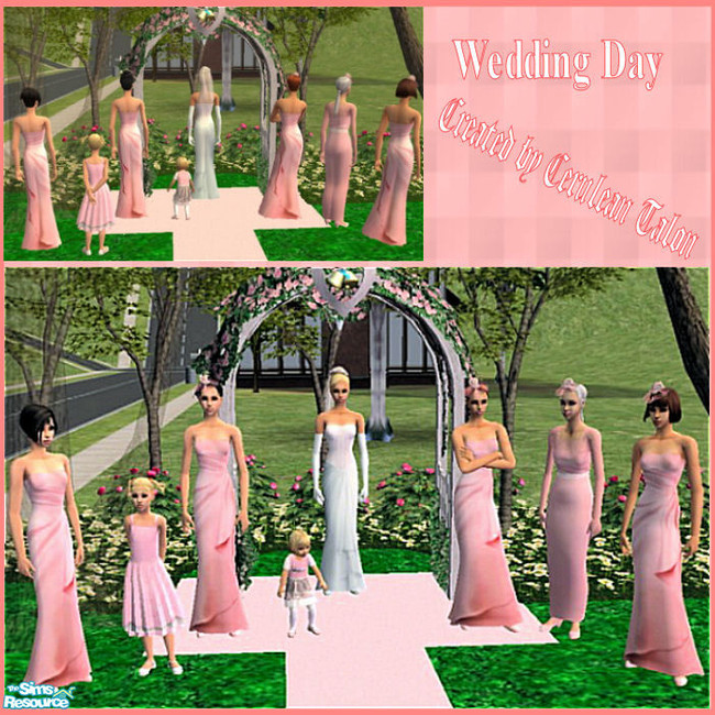 Cerulean Talon's Wedding Day