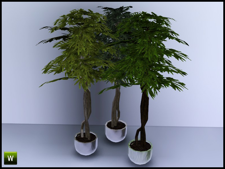 The Sims Resource | Edgewater Ficus