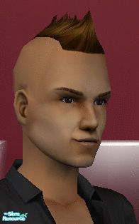 The Sims Resource - Male Medium Brown Mohawk