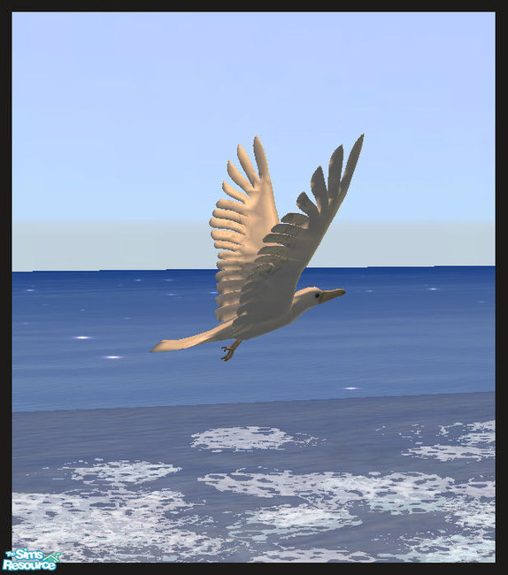 The Sims Resource - Animated Seagull - Custom Sound