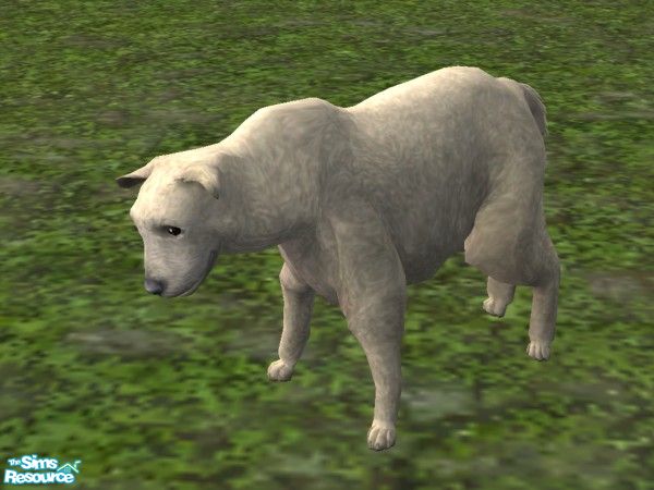 The Sims Resource - Sheep