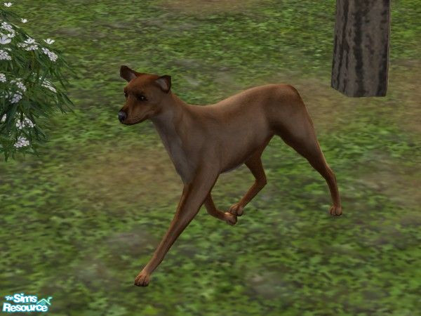 The Sims Resource | Deer
