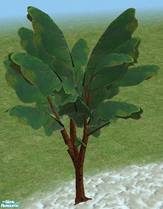 The Sims Resource - Exotic Trees 4 - Recolors of 3 - Large