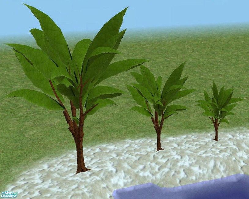 The Sims Resource - Exotic Trees 3