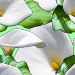 The Sims Resource - marcorse_arum lily pattern