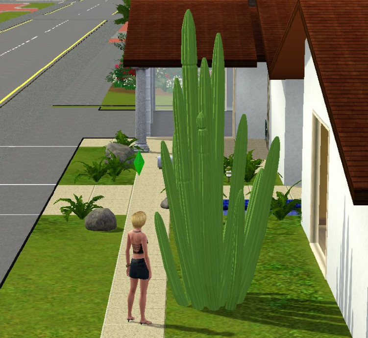The Sims Resource | Plant Organ Pipe - stenocereus thurberi - 5,5 metres