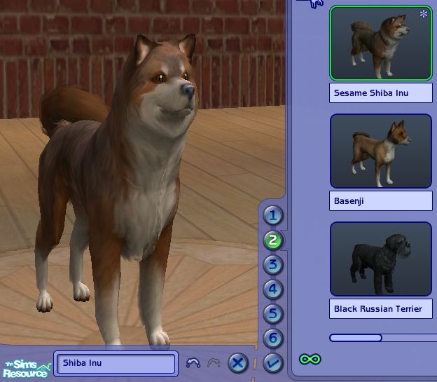 The Sims Resource | Sesame Shiba Inu