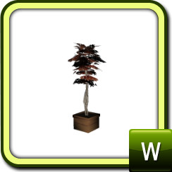 The Sims Resource | Indoor Plant - Ficus