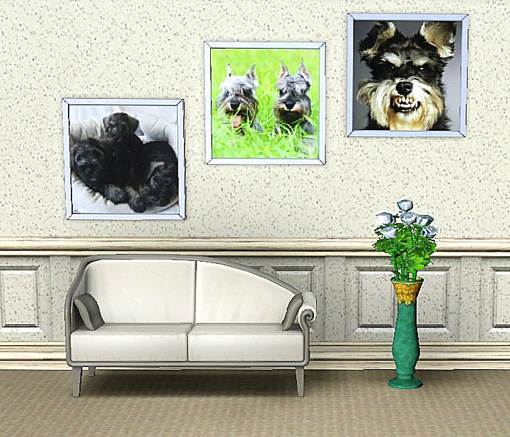 The Sims Resource | Mini schnauzer photos