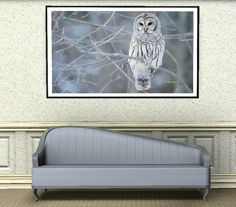 The Sims Resource - Owls by 7906569