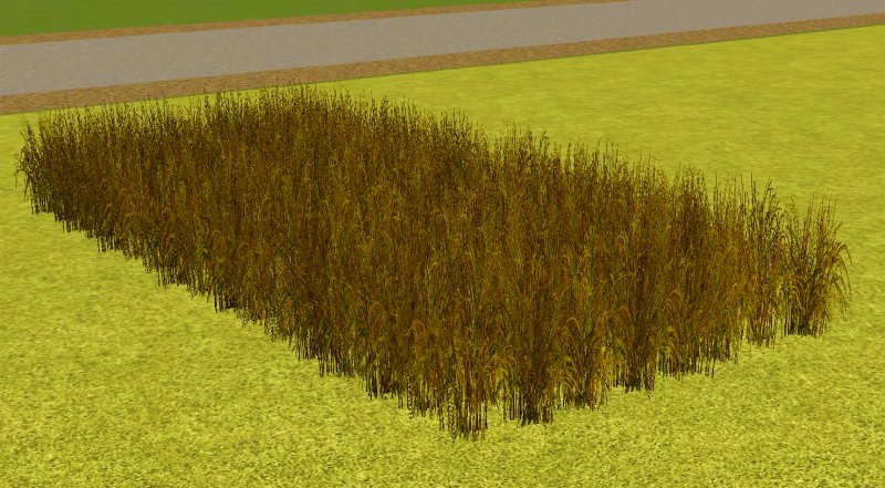 The Sims Resource | Farm Wheat