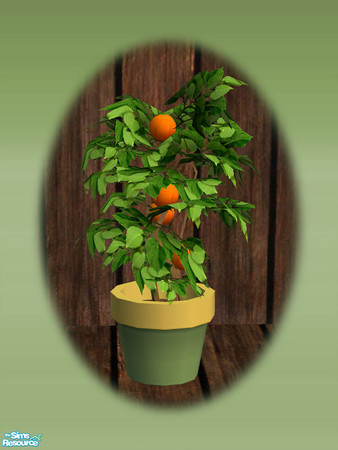 The Sims Resource - Garden Shed Orange Tree - Rec 03